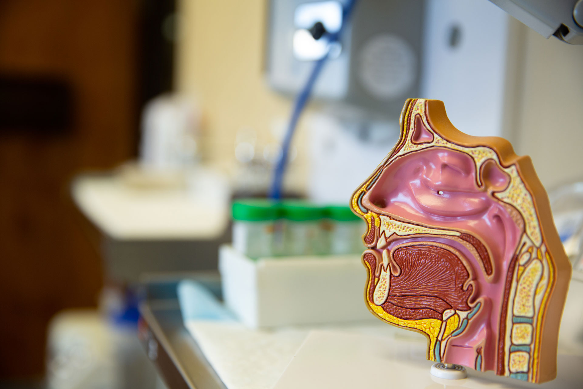 Ωτορινολαρυγγολόγος - Γεώργιος Γρηγοριάδης - ΩΡΛ